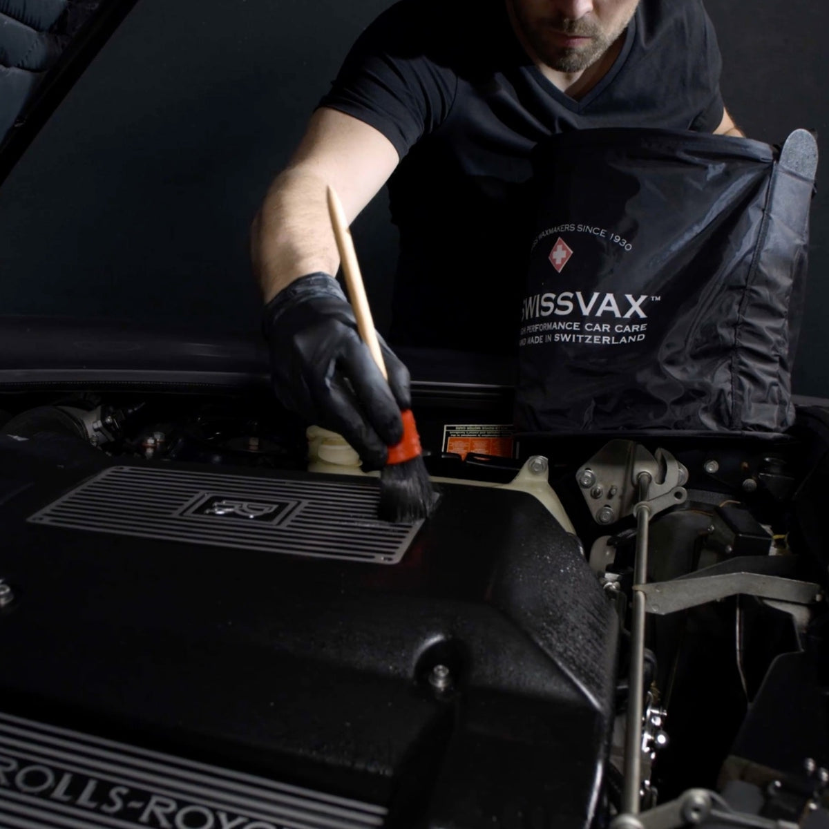 SWISSVAX ENGINE – Powerful Engine Cleaner for Deep Cleanliness ...